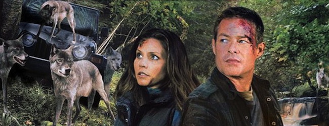 Crash Site (2011) – Review – 2 Movie Mavericks